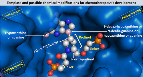 Institute of Organic Chemistry and Biochemistry of the CAS