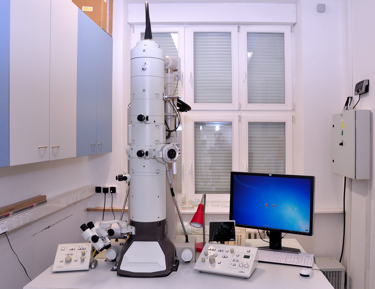 Nova NanoSEM 450 Scanning Electron Microscope