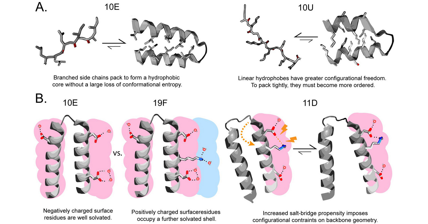 The study's findings provide insights into the surprising evolution of ...