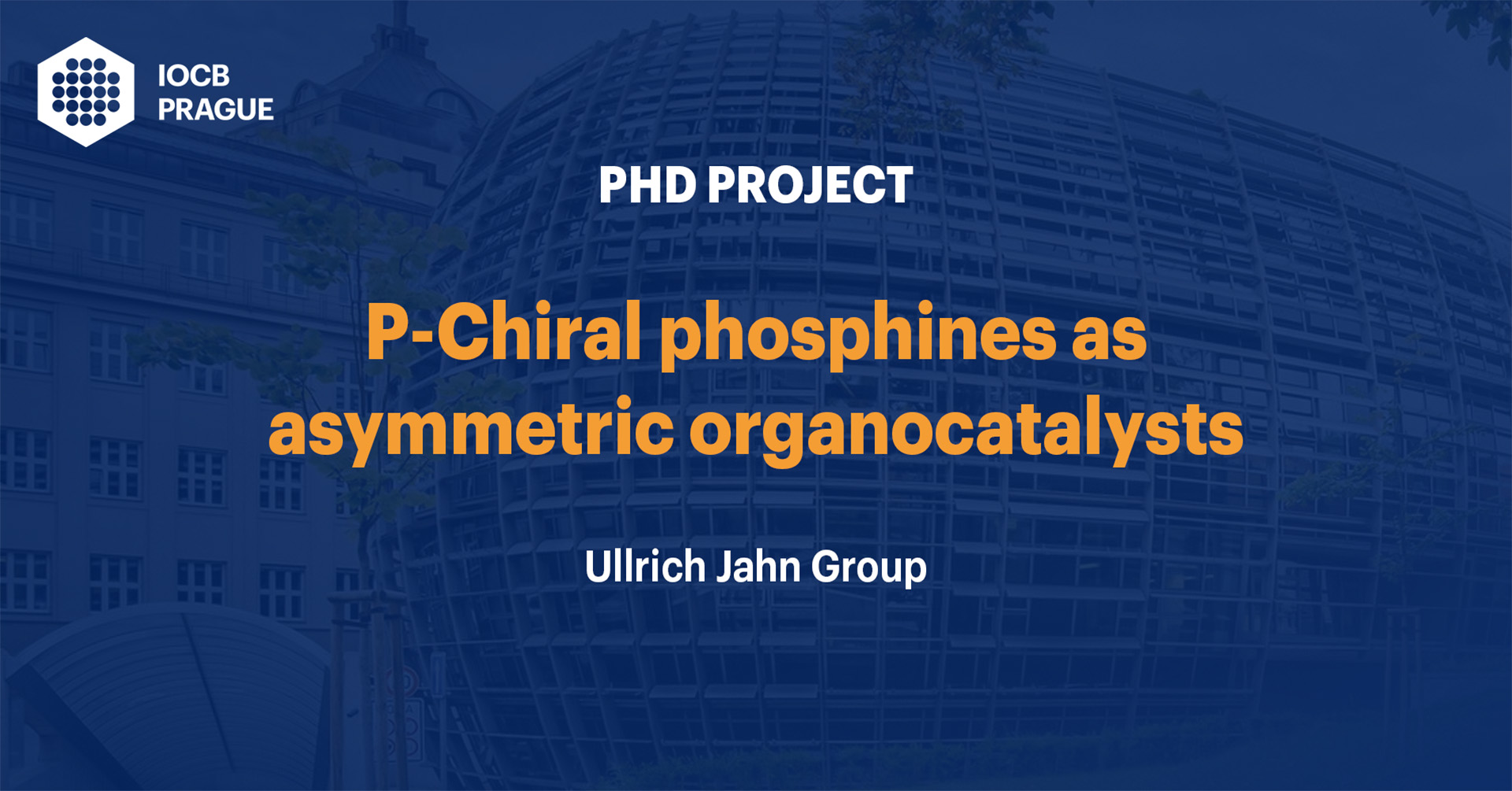 P-Chiral phosphines as asymmetric organocatalysts