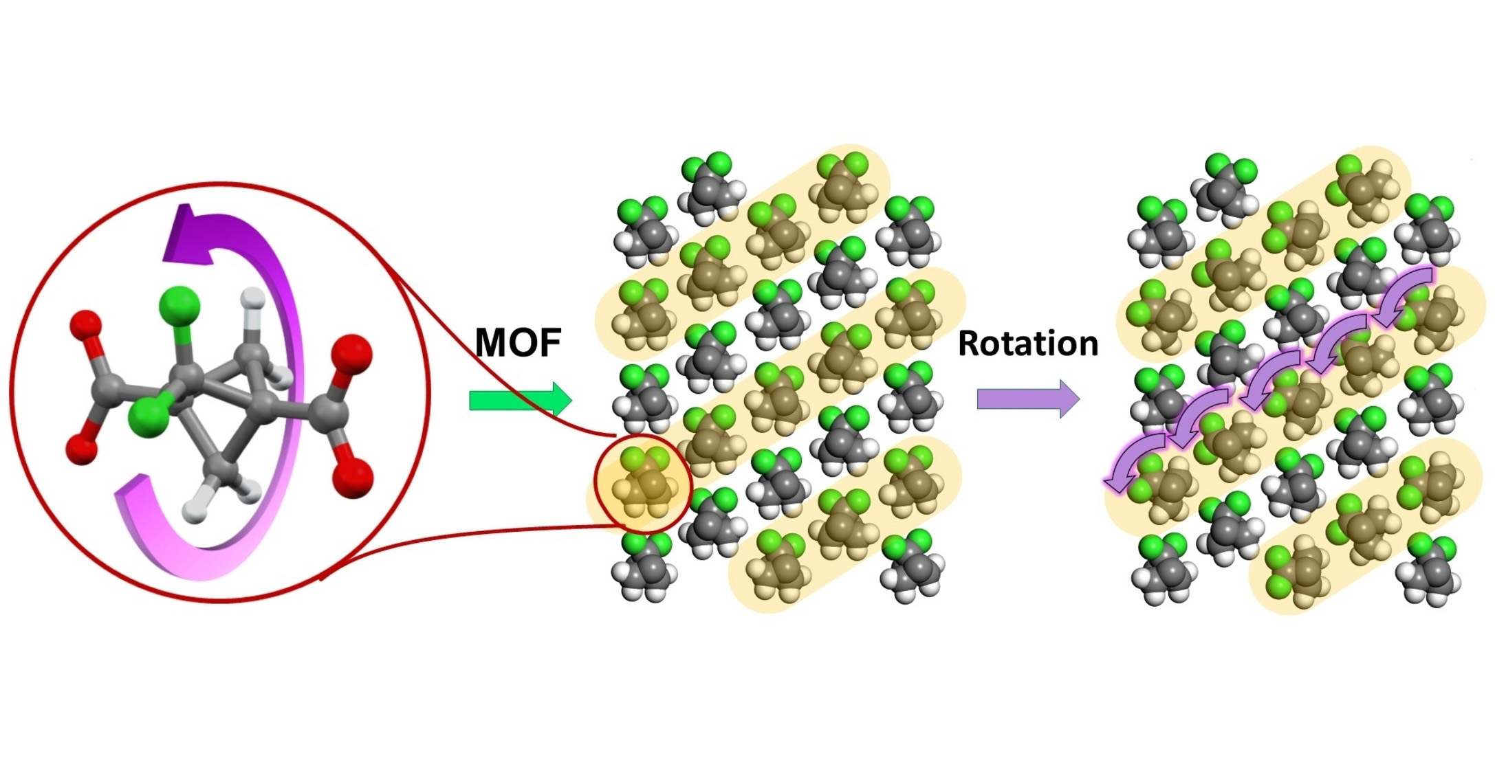 Dipolar molecular rotors in fluorinated metal-organic frameworks
