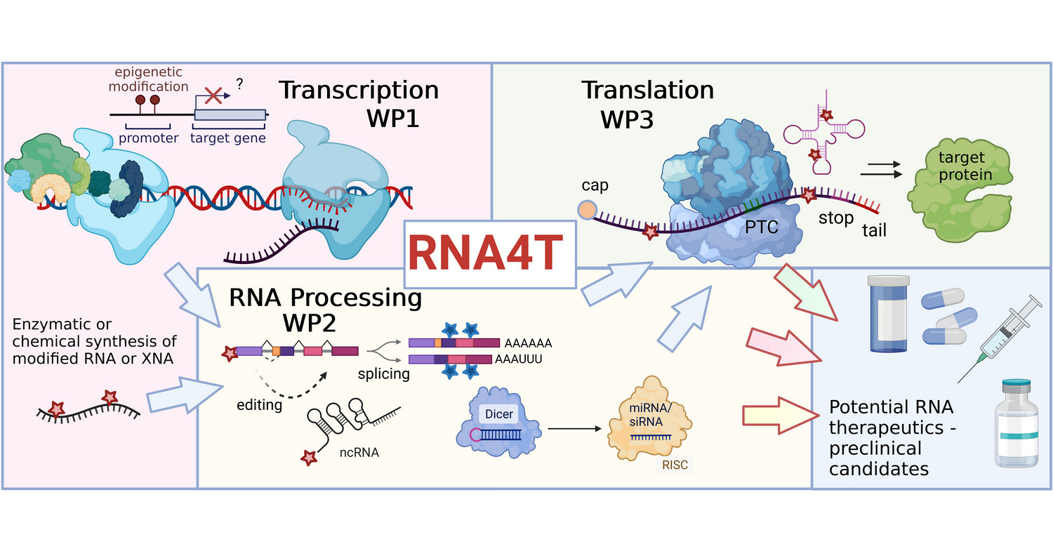 RNA4T: RNA for therapy