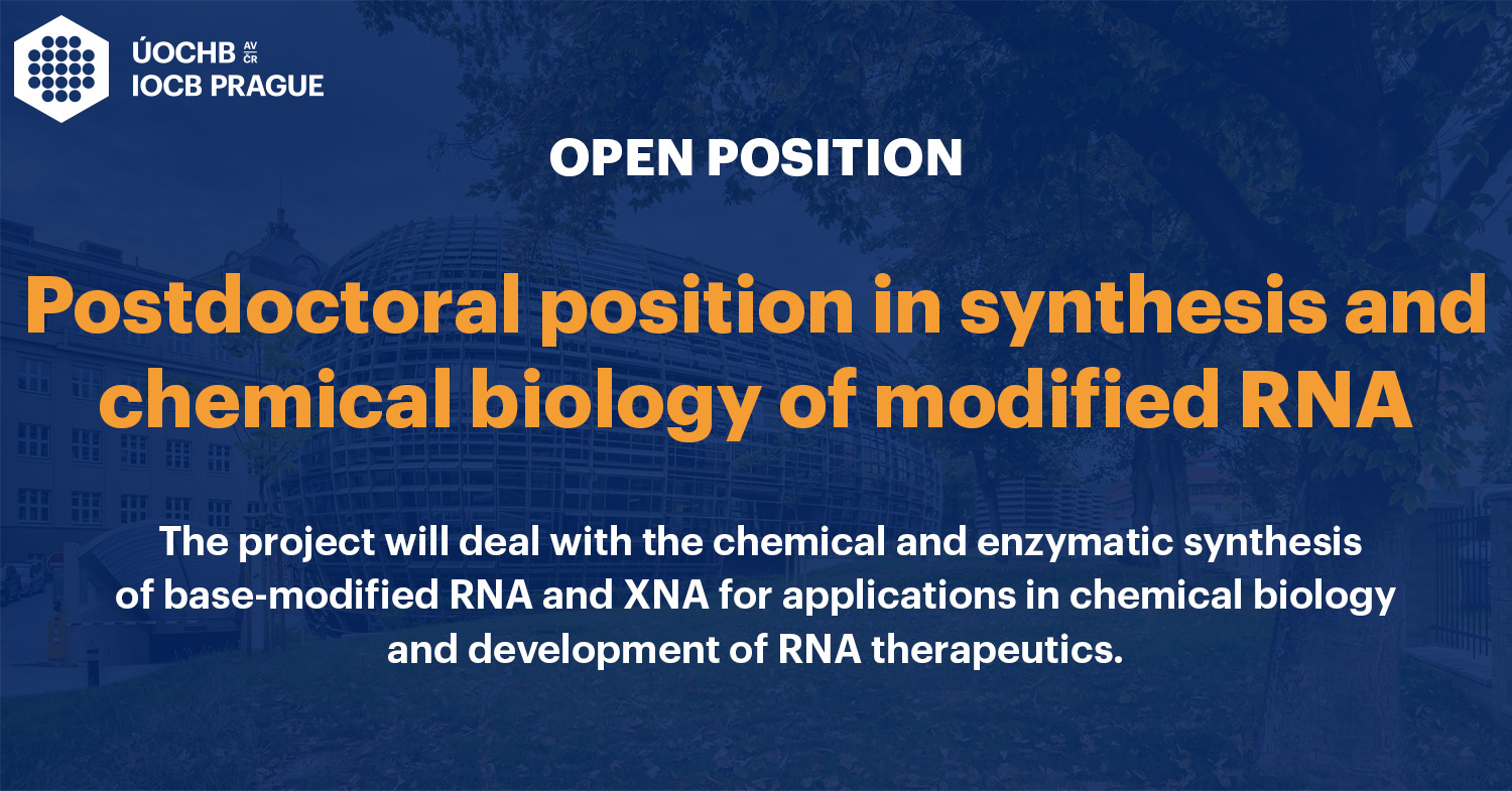 Postdoctoral position in synthesis and chemical biology of modified RNA