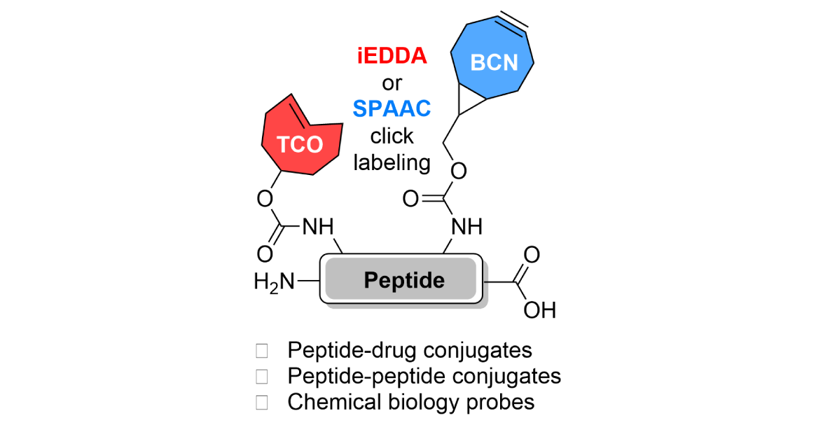 Easy access to modified peptides suitable for bioorthogonal reactions